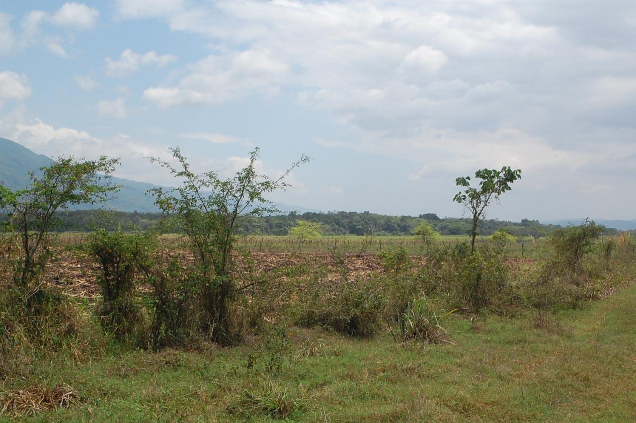 Offices / Commercial Bldg For Sale: BOGUE, SAINT ELIZABETH, Elim ...