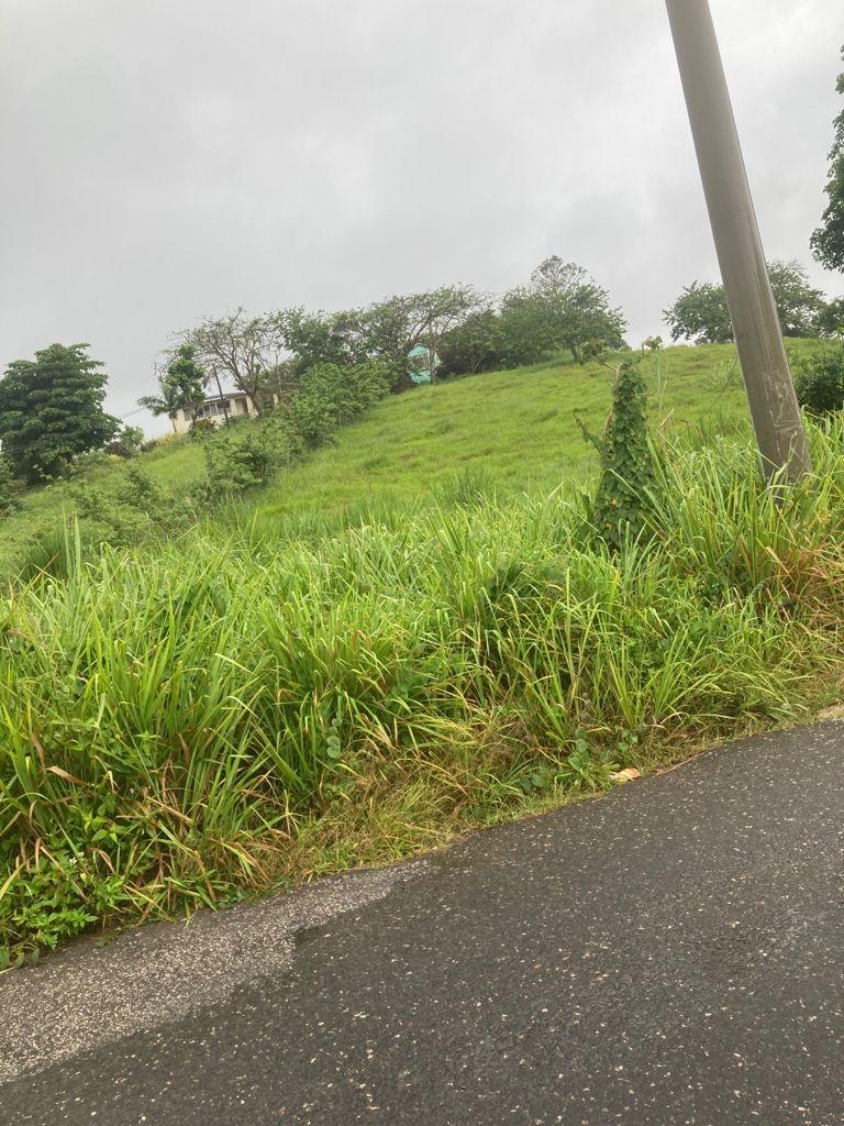 Residential Lot For Sale: WEST RD, MANDEVILLE, Brumalia | $23,000,000 ...