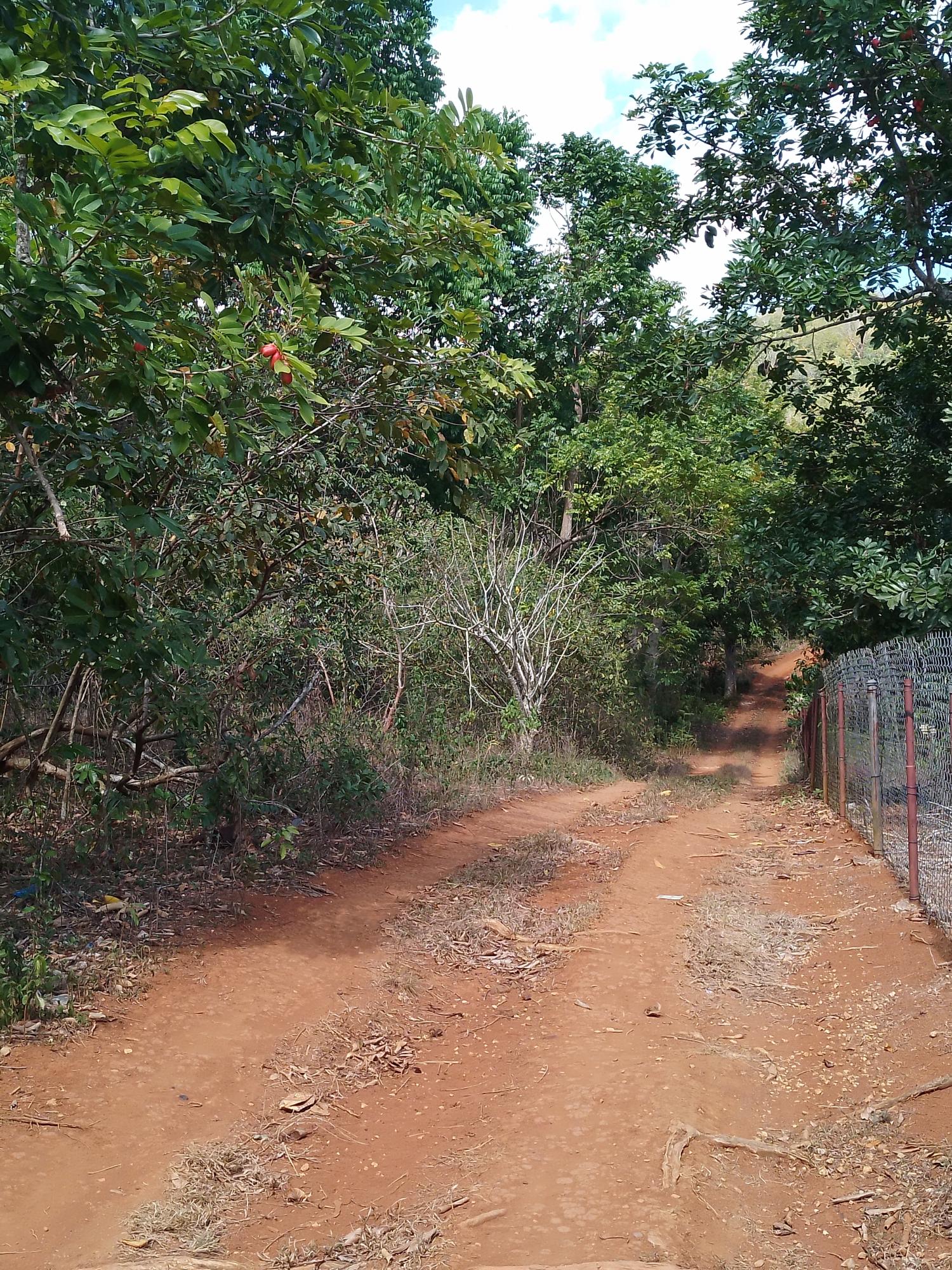 Residential Lot For Sale: SIMON, BAMBOO DISTRICT., Simons | $16,000,000 ...