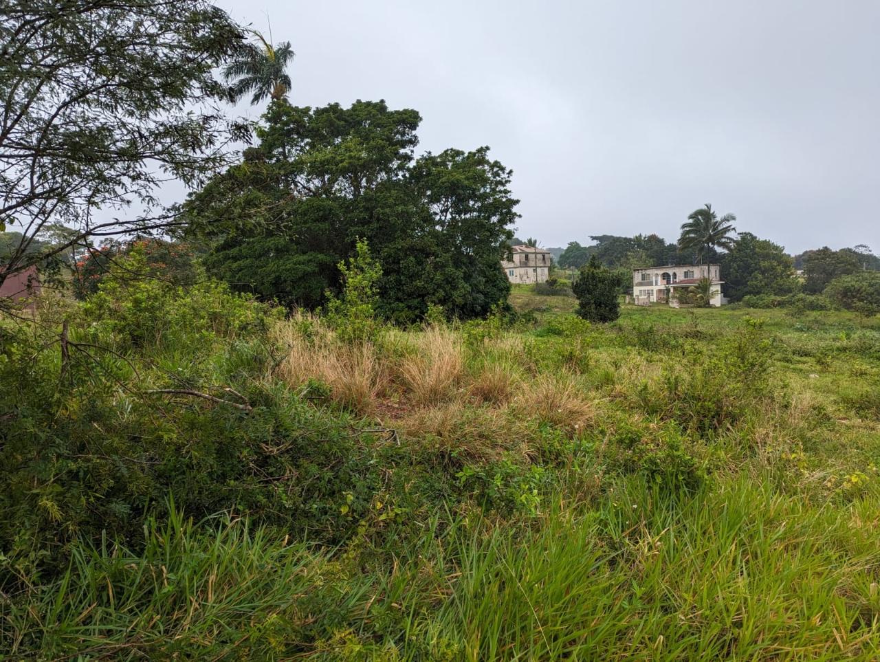 Residential Lot For Sale: CEDAR GROVE, Mandeville | $10,000,000 | Keez