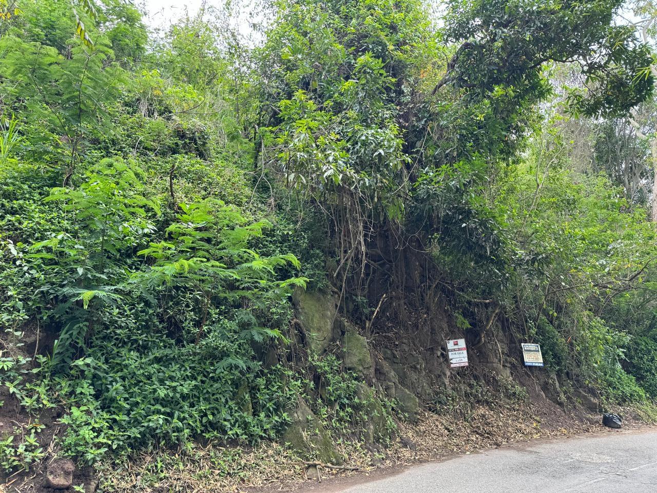 Residential Lot For Sale: IRISH TOWN, Irish Town P.A. | $15,000,000 | Keez