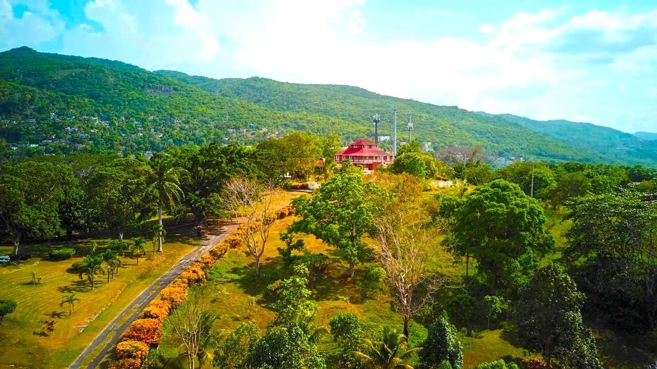 Offices / Commercial Bldg For Sale: FERN CLOSE, Montego Bay ...