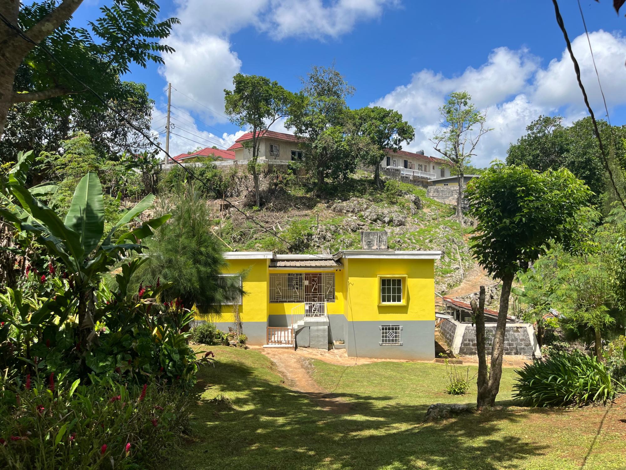 House For Sale: GEORGE REID, Mandeville | $12,000,000 | Keez