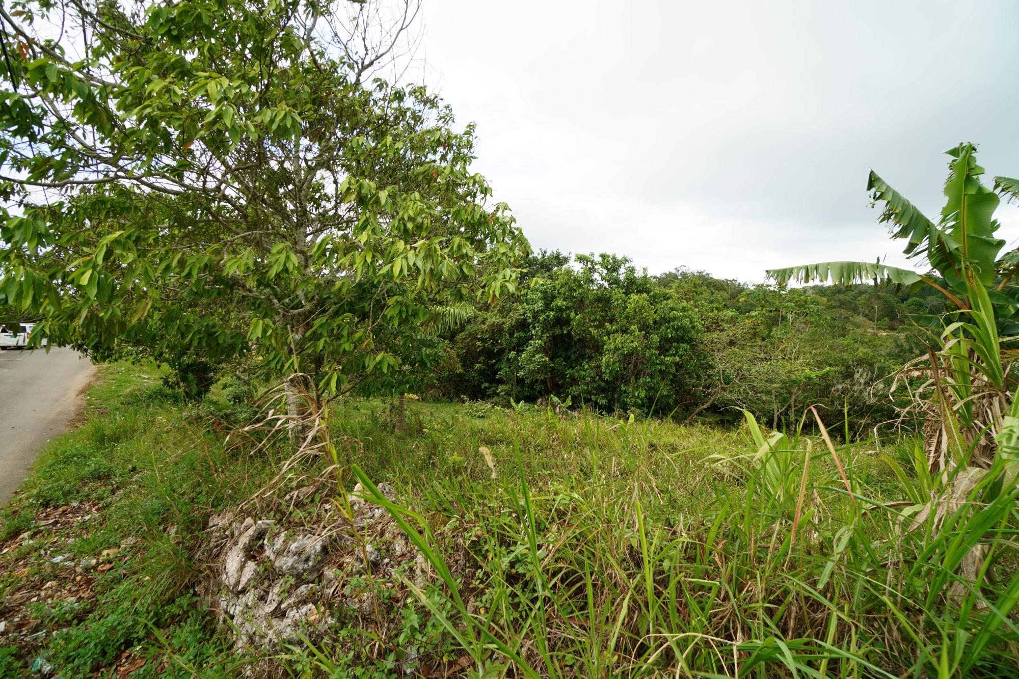 Residential Lot For Sale: CHIPPENHAM, BAMBOO, Bamboo | $8,500,000 | Keez