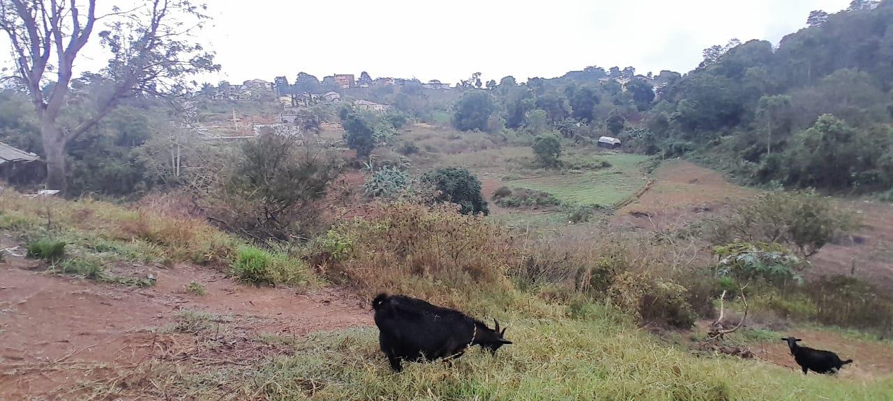 Offices / Commercial Bldg For Sale: DENHAM FARM, CHRISTIANA ...