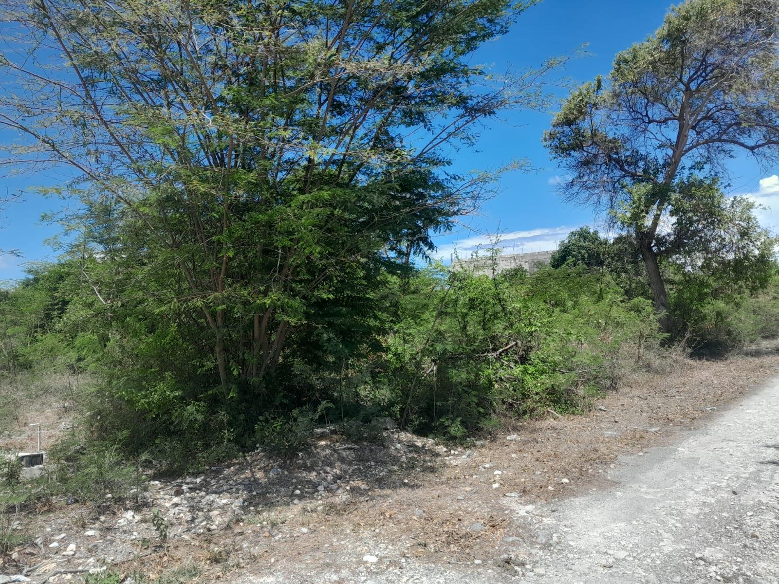 Residential Lot For Sale: HEIGHTS, Albion Estate | $9,950,000 | Keez