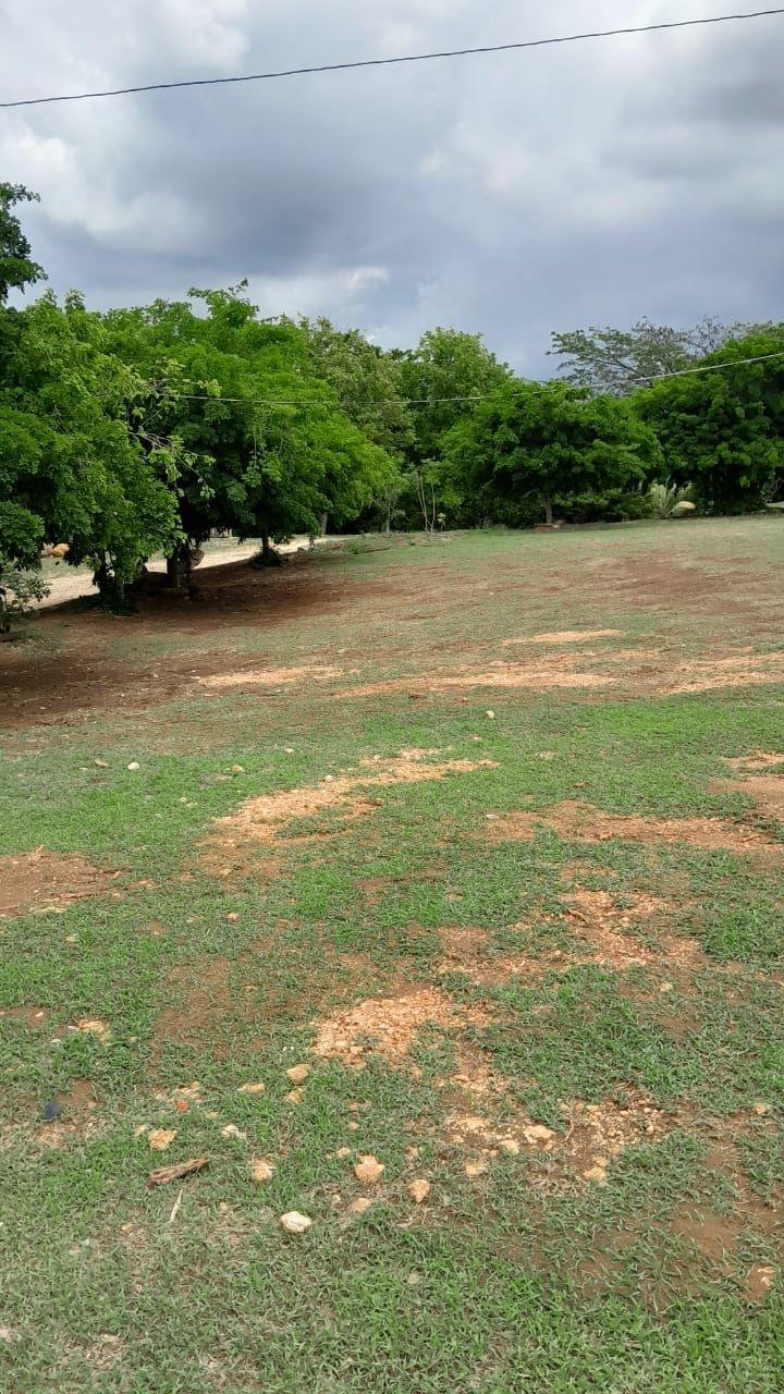 Commercial Lot For Sale: CLARENDON PARK, TOLL GATE, Toll Gate ...