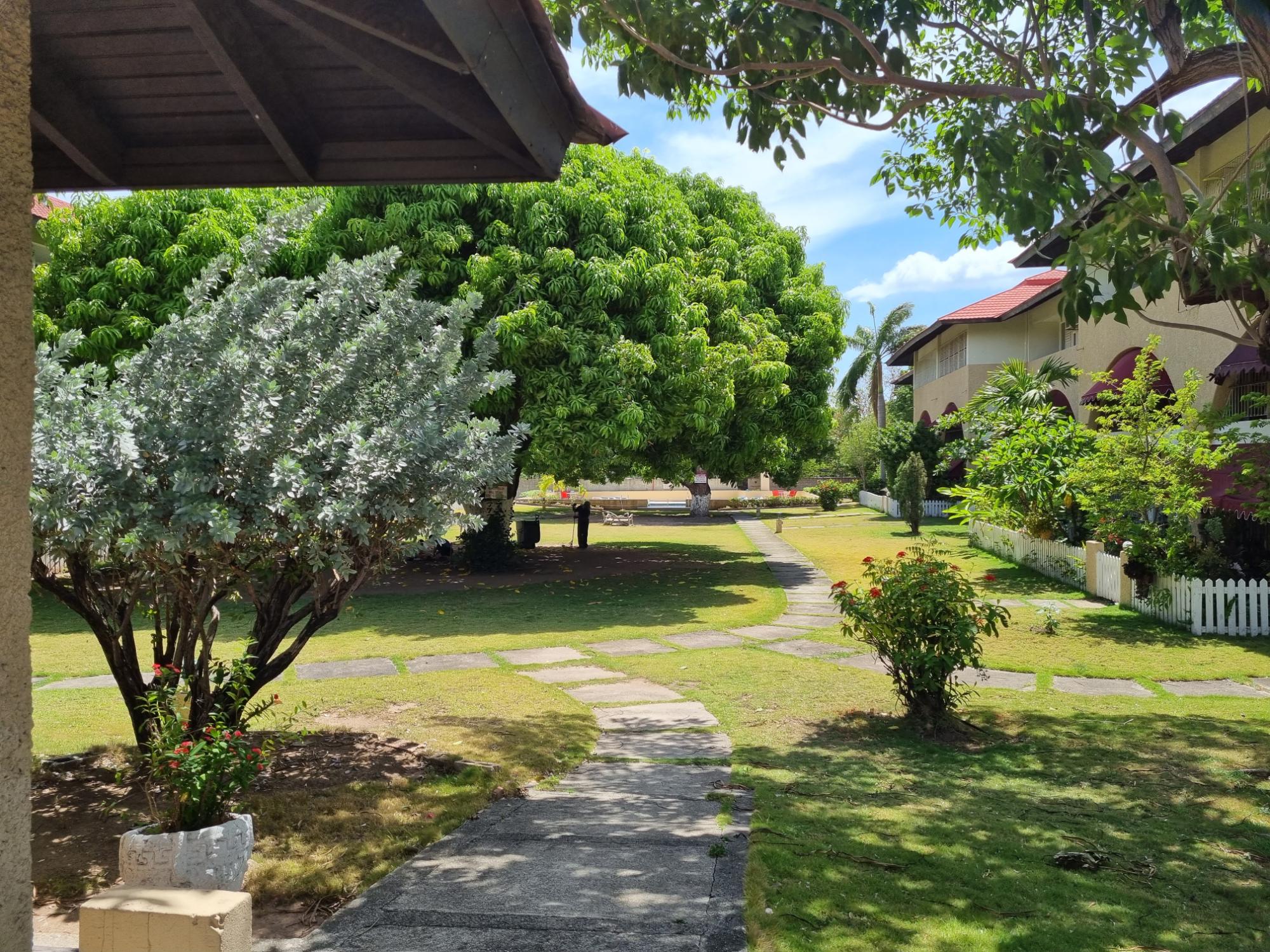 Apartment For Sale: HOPE ROAD, Kingston 6 | $230,000