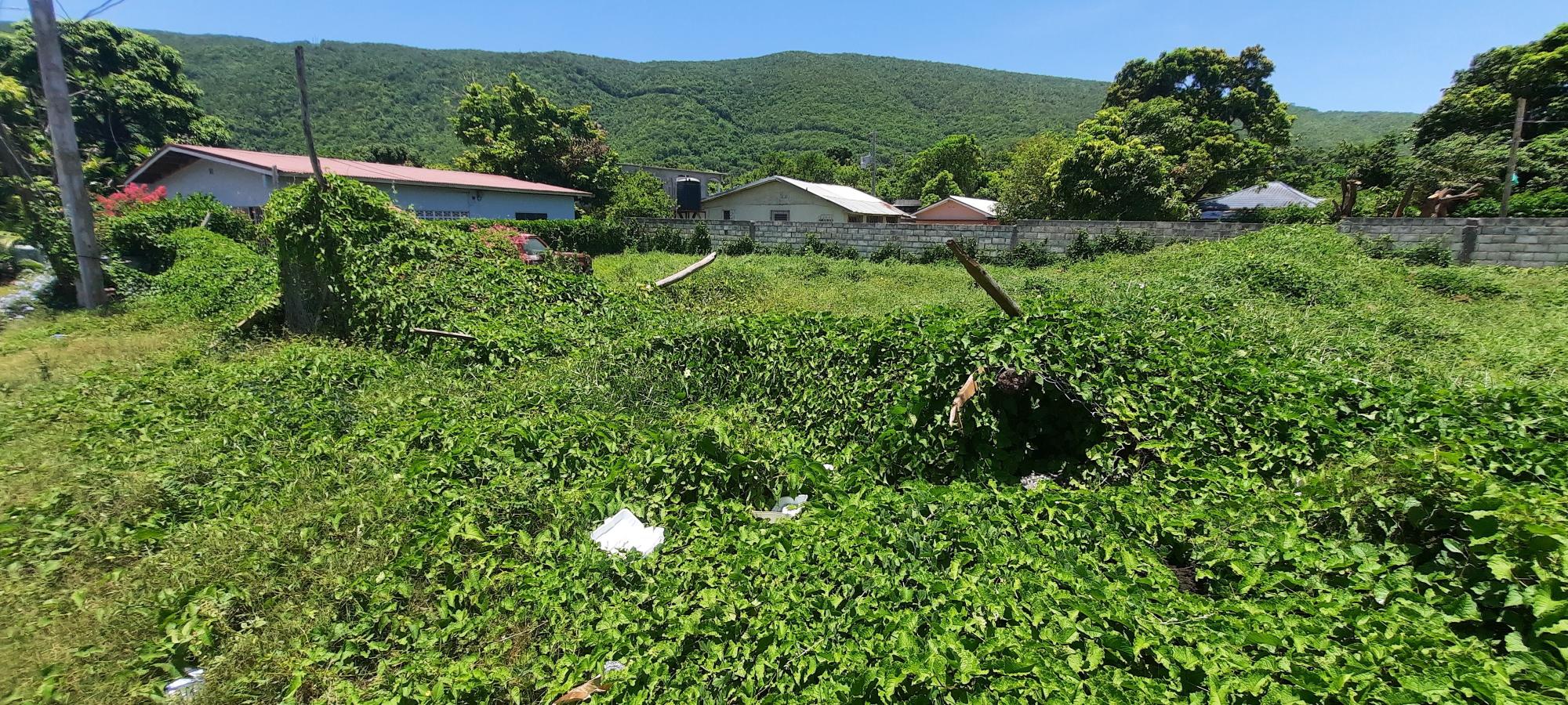 Residential Lot For Sale: RACHAELS CLOSE, Kingston 7 | $63,000 | Keez