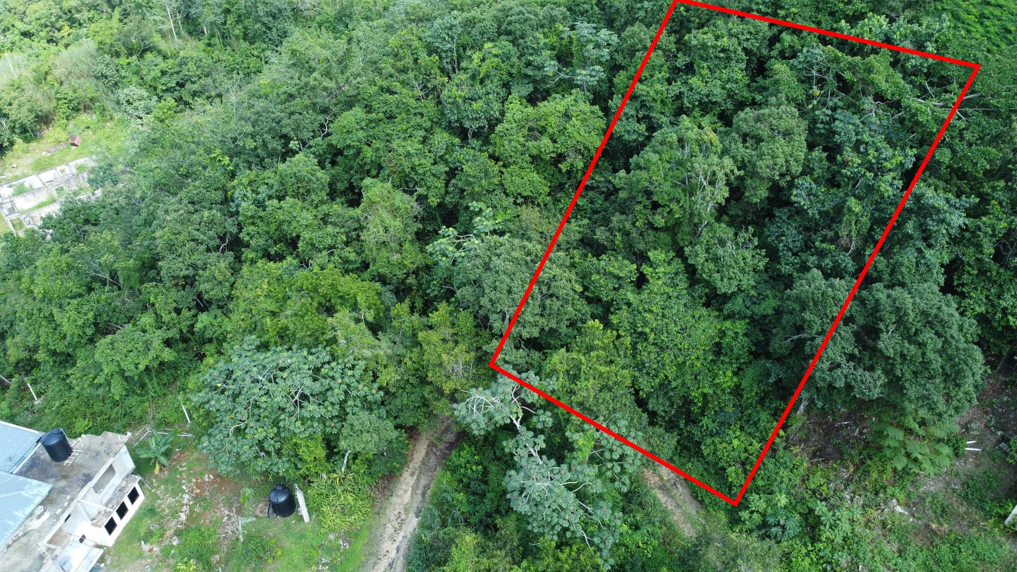 Residential Lot For Sale: ABRAHAM ROAD COOPERS HILL, Red Hills ...