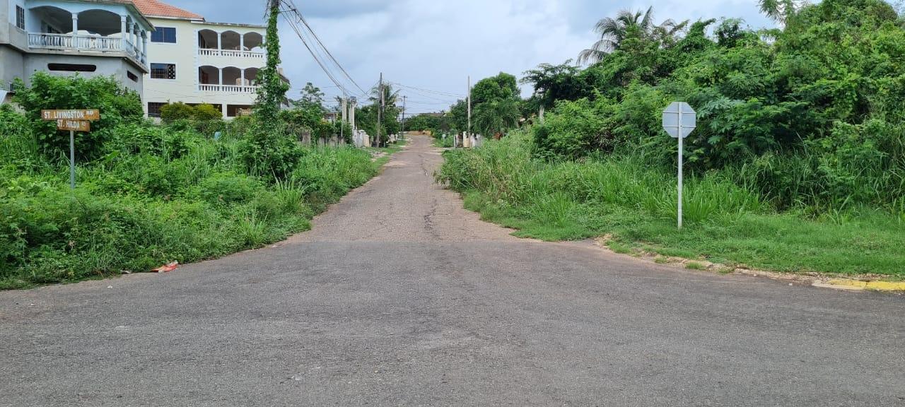 Residential Lot For Sale: ST. LIVINGSTON ROAD,, Green Acres ...