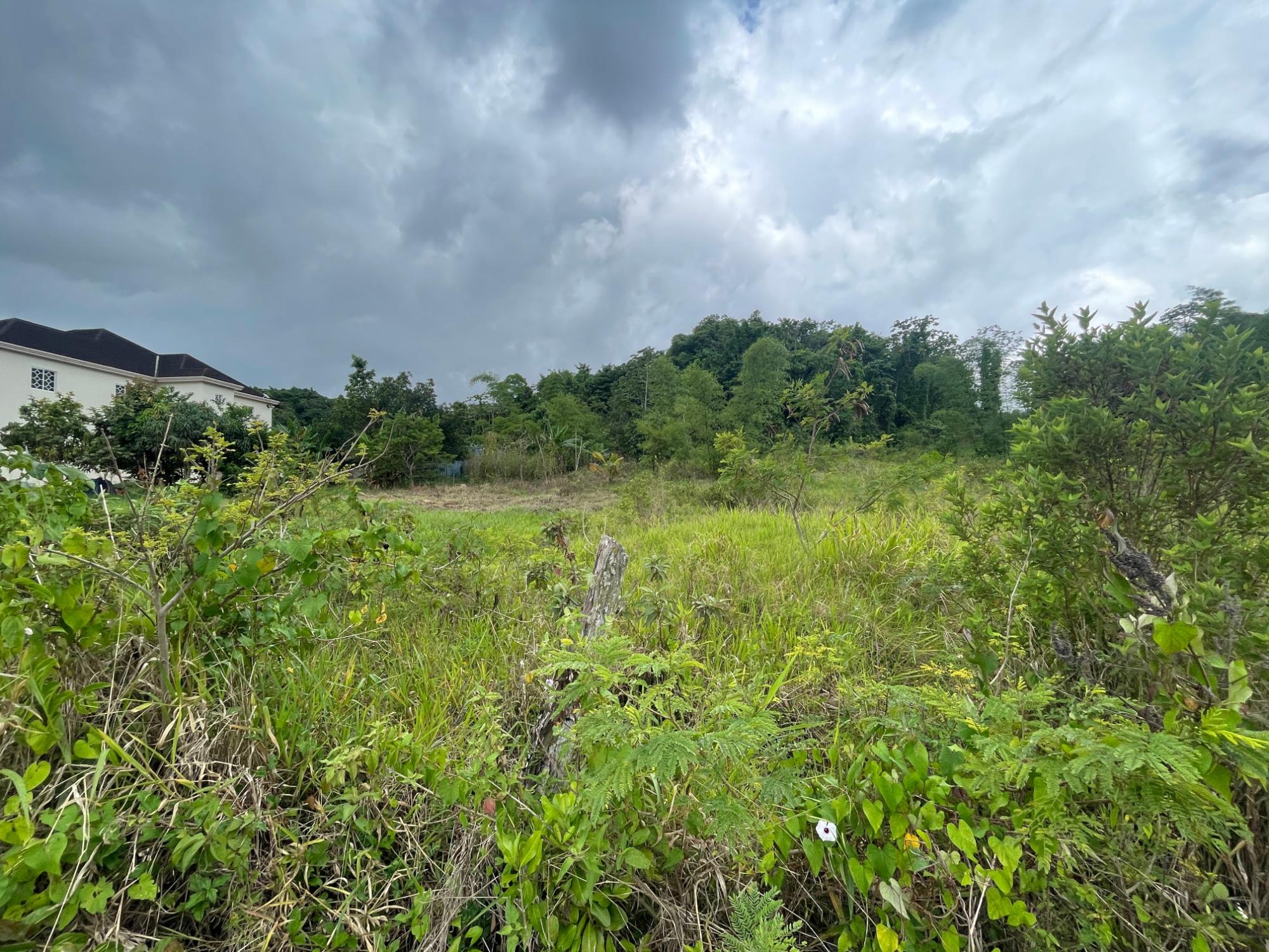 Residential Lot For Sale: NEWARK GROVE, SPUR TREE, Spur Tree ...