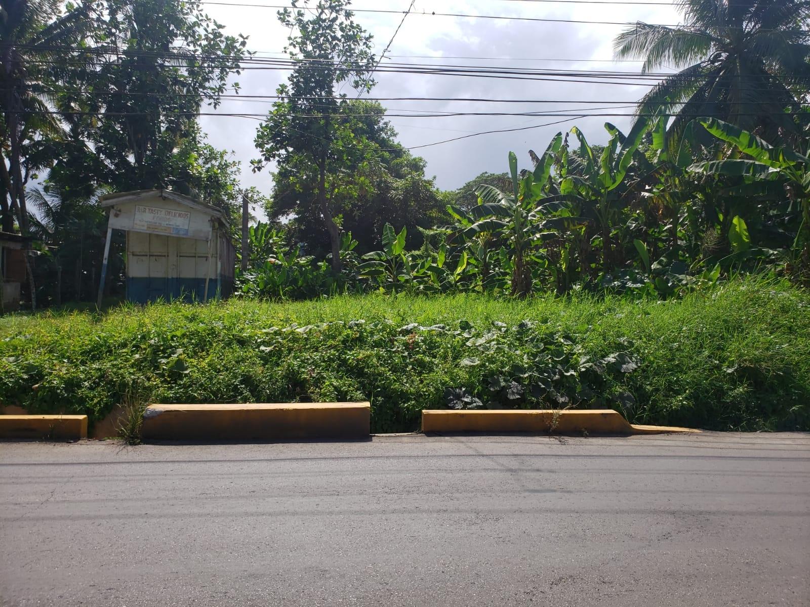Residential Lot For Sale: LAND PART OF SANTA CRUZ, Santa Cruz ...
