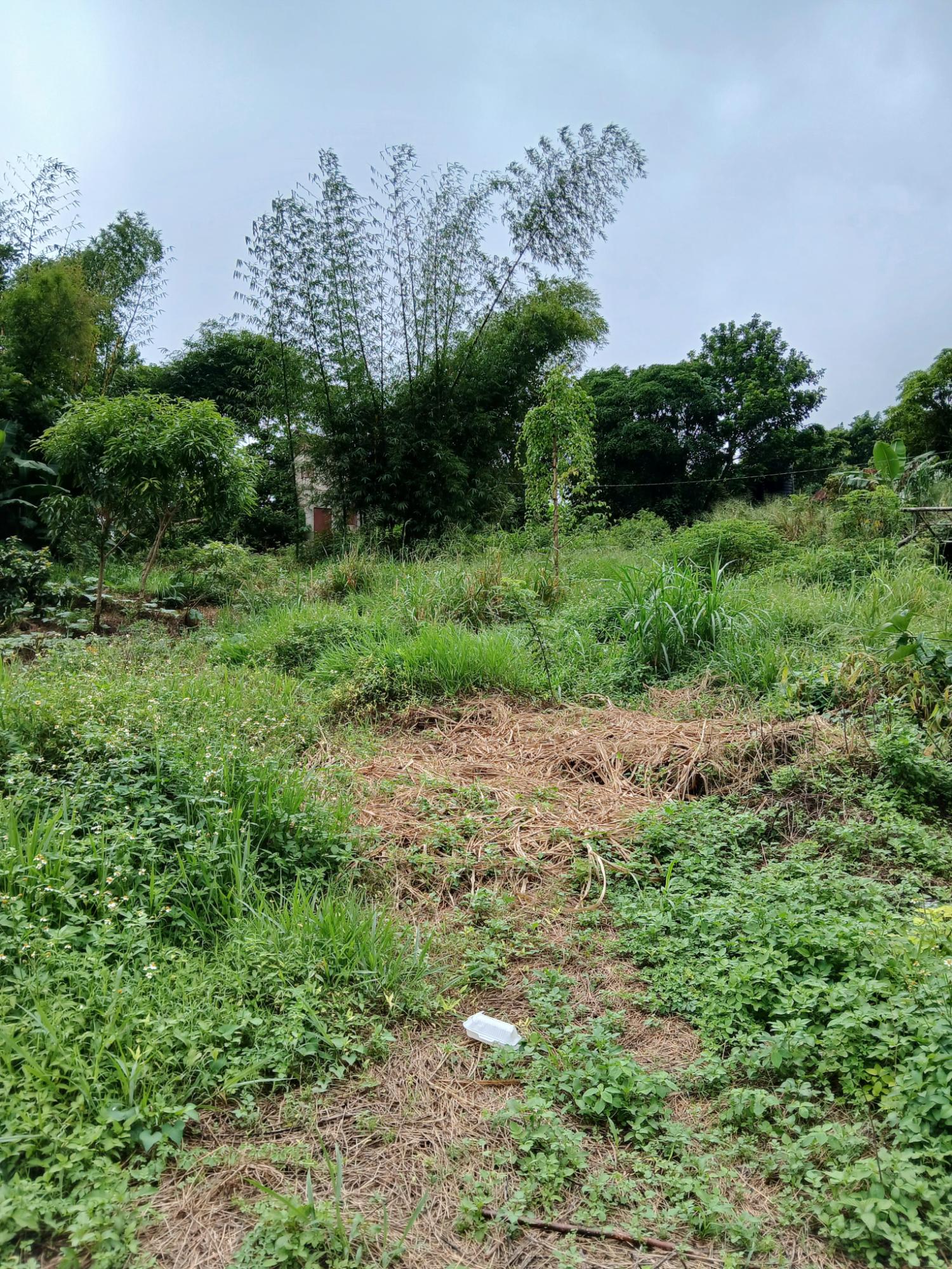 Residential Lot For Sale: BATTERSEA MANDEVILLE, Mandeville ...
