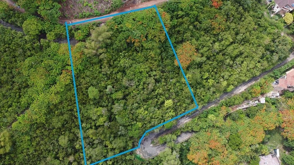 Residential Lot For Sale: LOT 15 BELLEVUE DRIVE, Stony Hill P.O ...