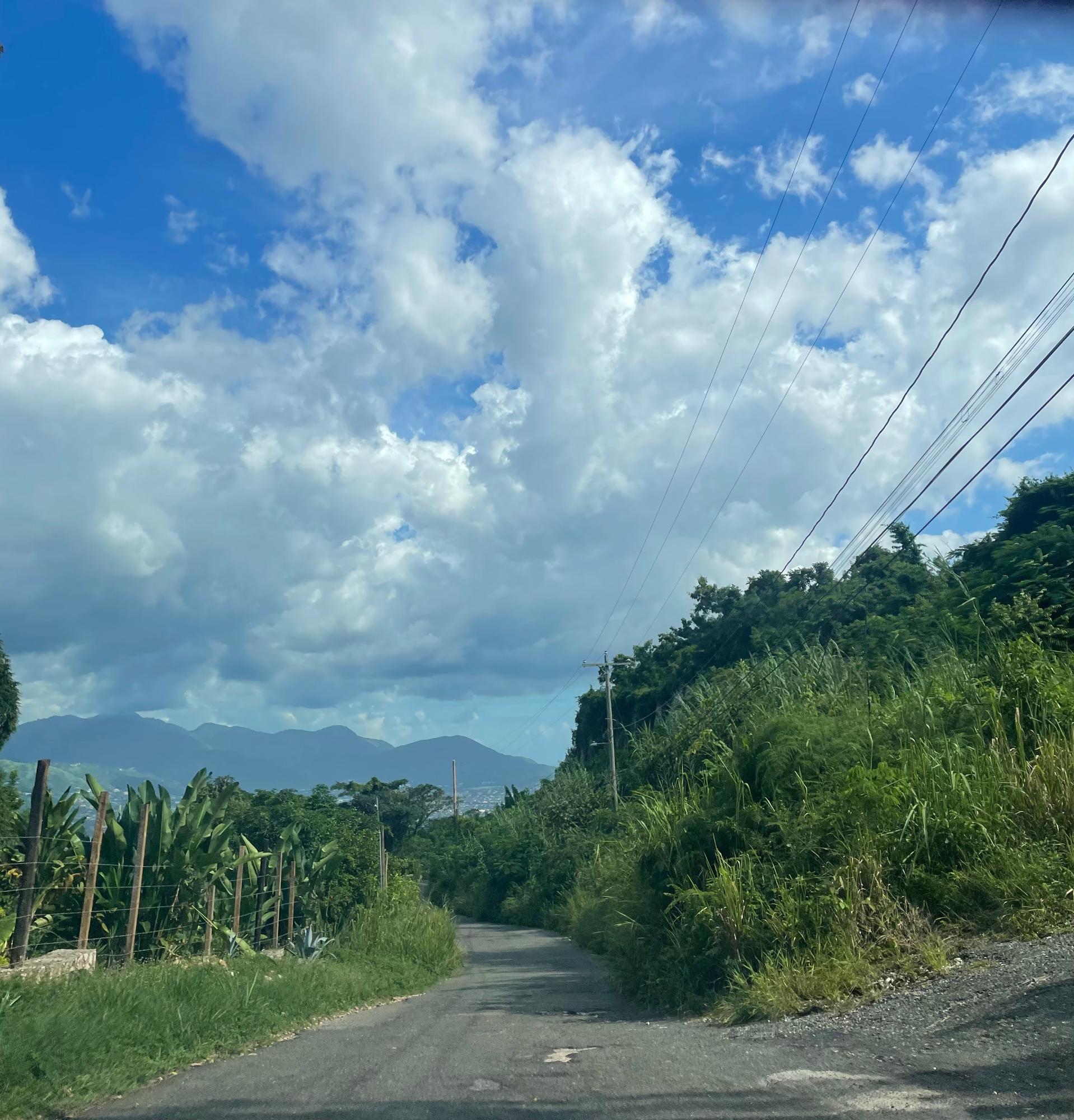 Development Land (Residential) For Sale: SWAIN SPRING RD, RED HILL, Red ...