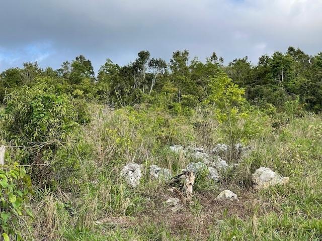 Residential Lot For Sale: SPUR TREE, Spur Tree | $22,000,000 | Keez