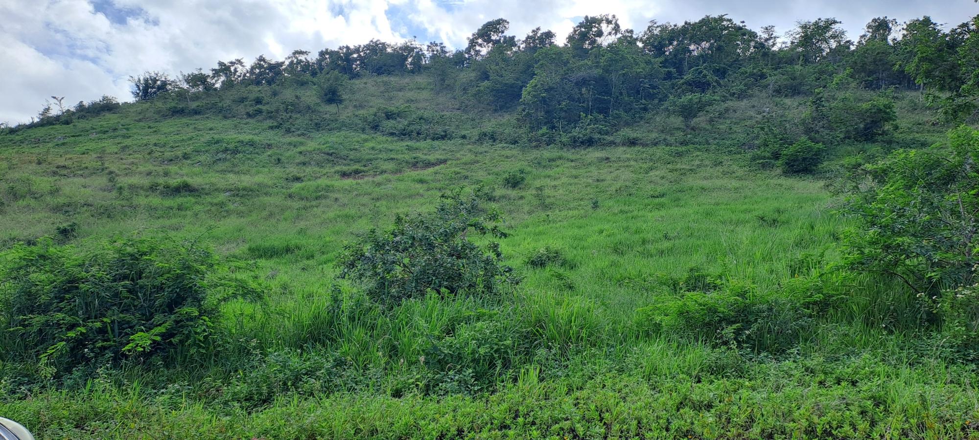 residential-lot-for-sale-part-of-brokenhurst-broken-hurst-35-500