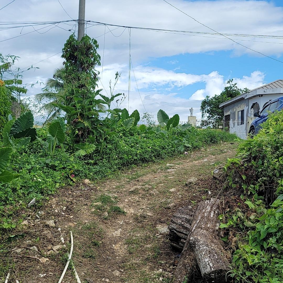 Residential Lot For Sale: RODNEY HALL ROAD, LINSTEA, Linstead | $10,000,000