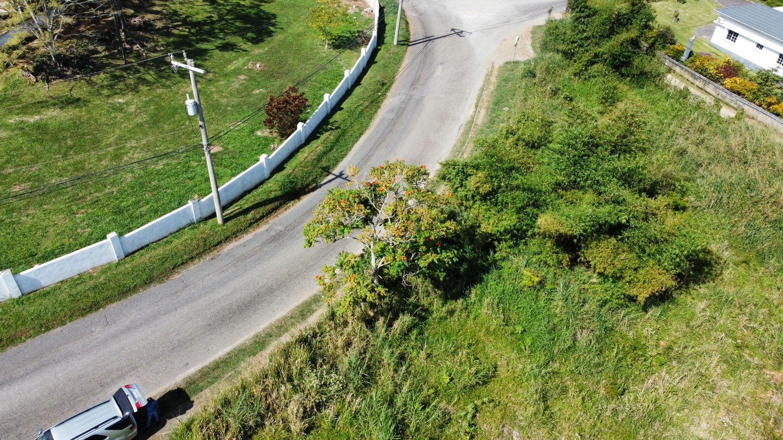 Commercial Lot For Sale: LOT 56 WARD AVENUE, Mandeville | $550,000