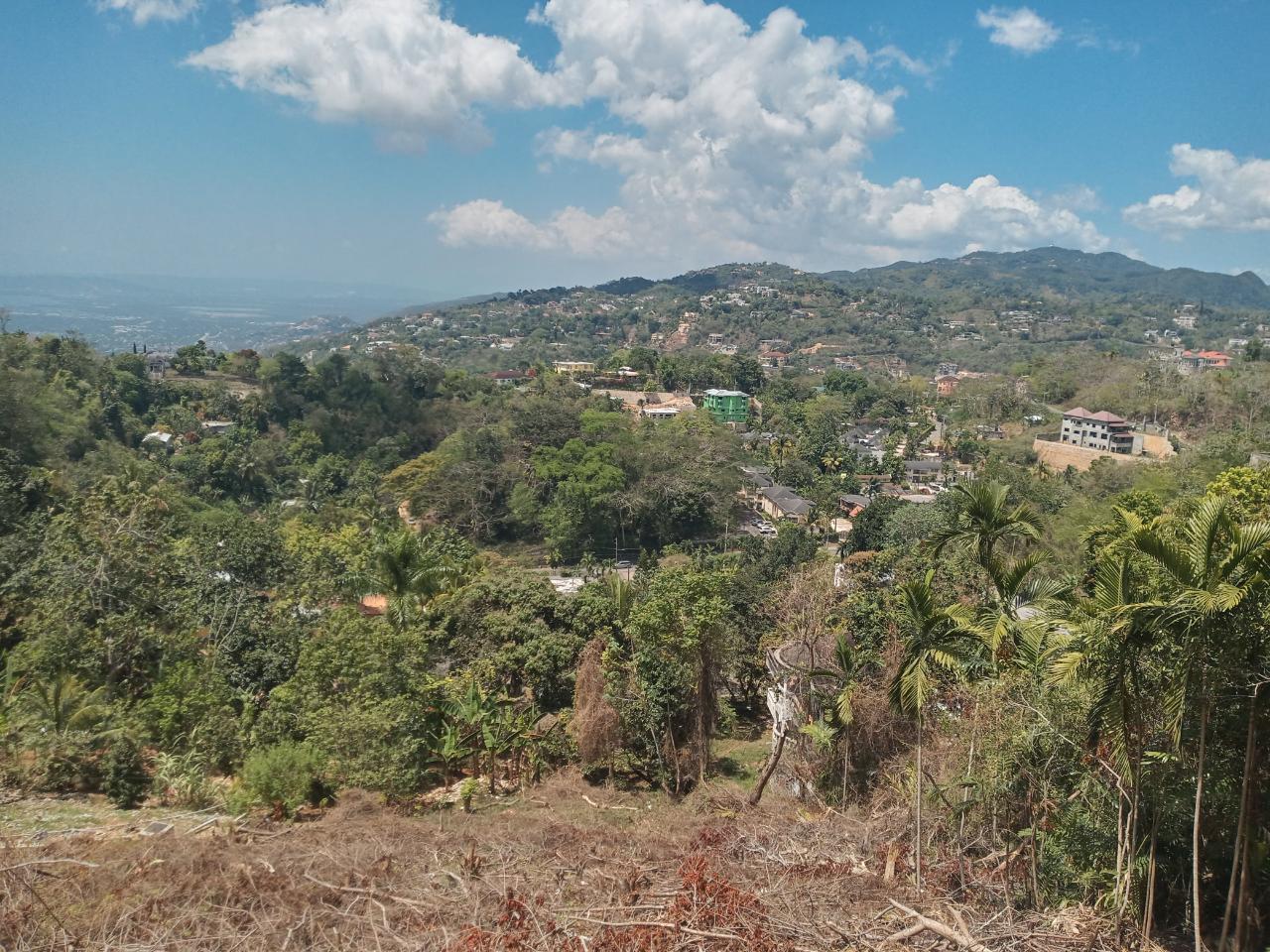 Residential Lot For Sale: AMBASSADOR HEIGHTS, Stony Hill P.O ...