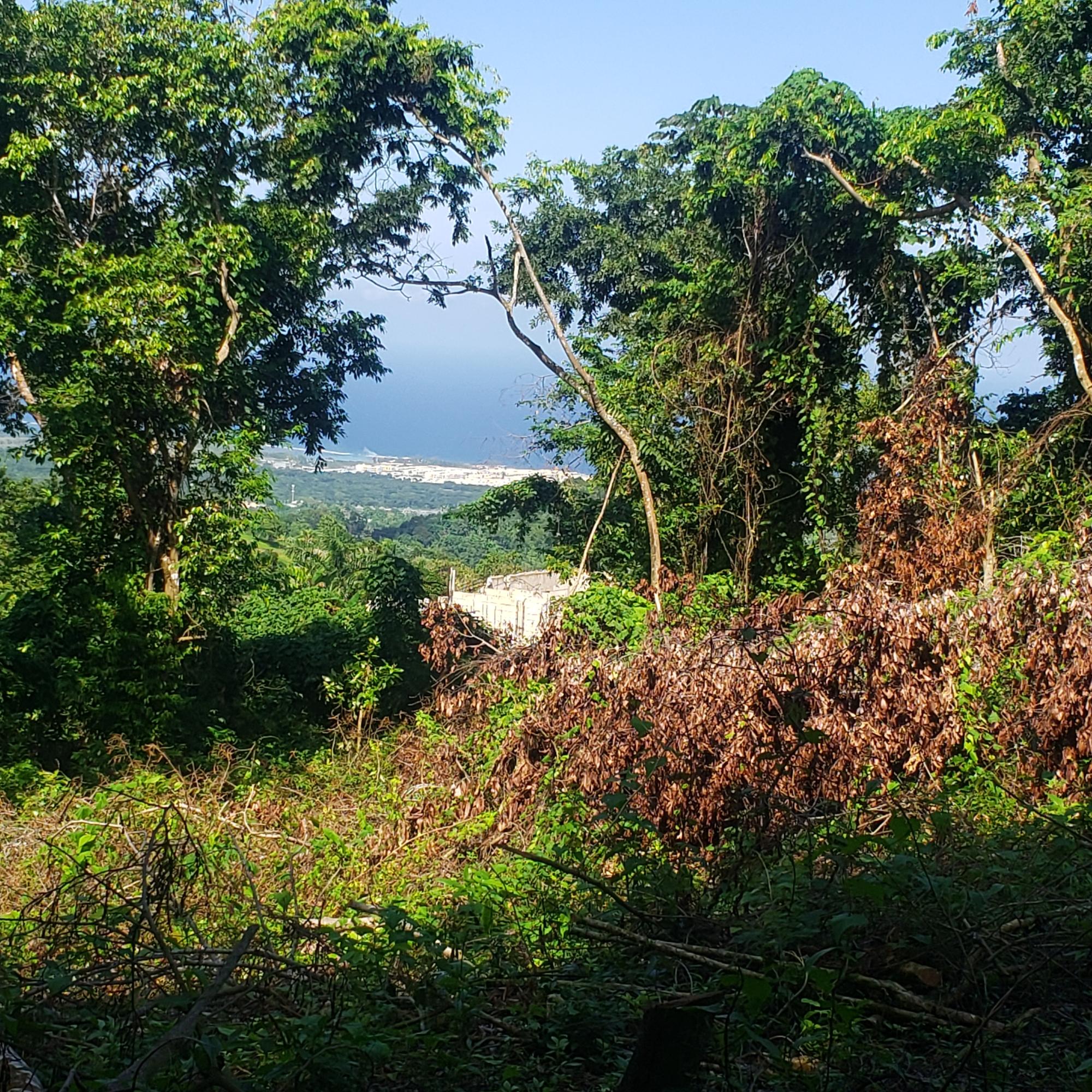 Residential Lot For Sale: SEVILLE, FARMER@~apos;S HEIGHTS, St. Ann ...