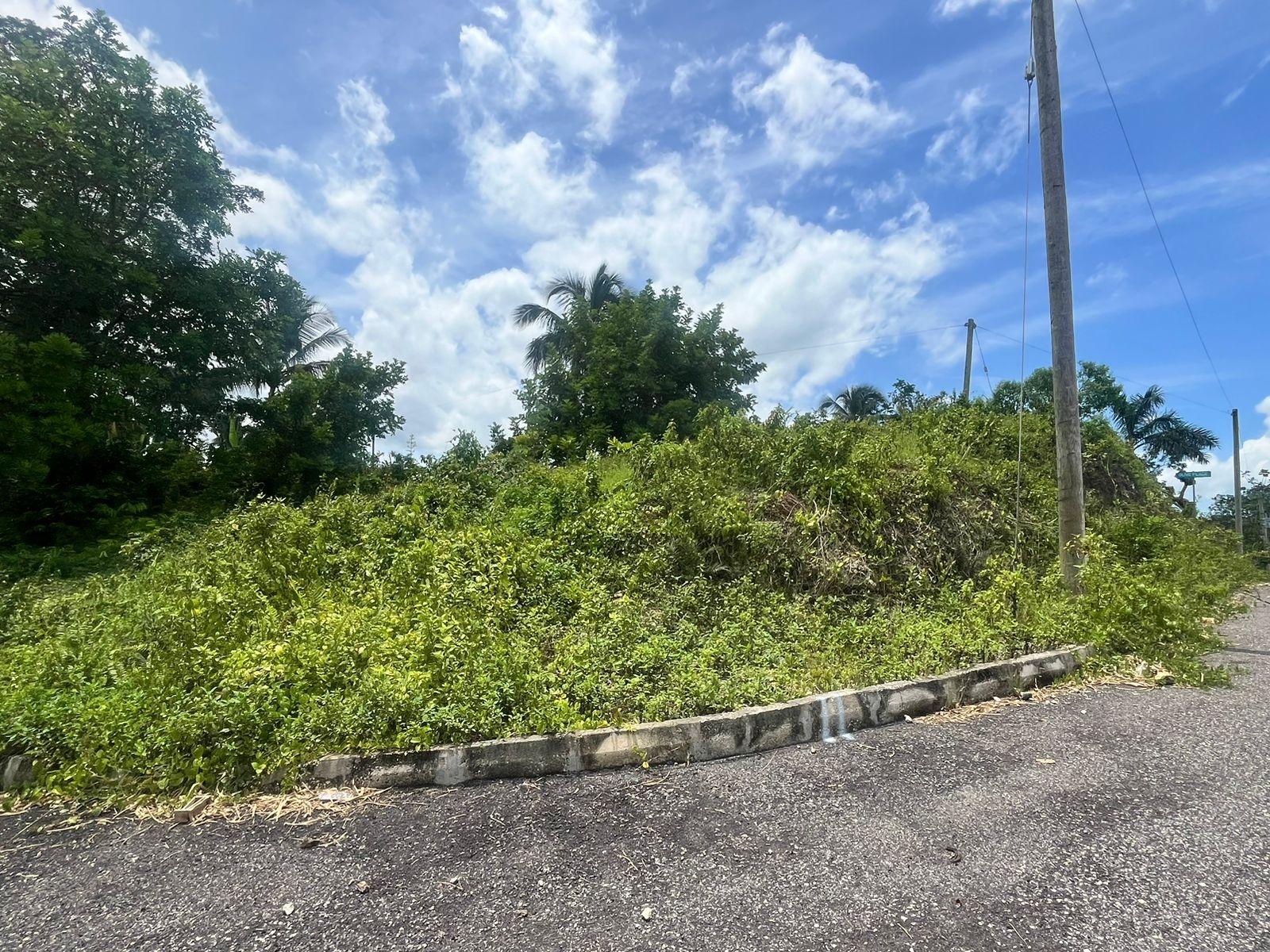 Residential Lot For Sale: ARTHUR DRIVE, Linstead | $5,800,000 | Keez