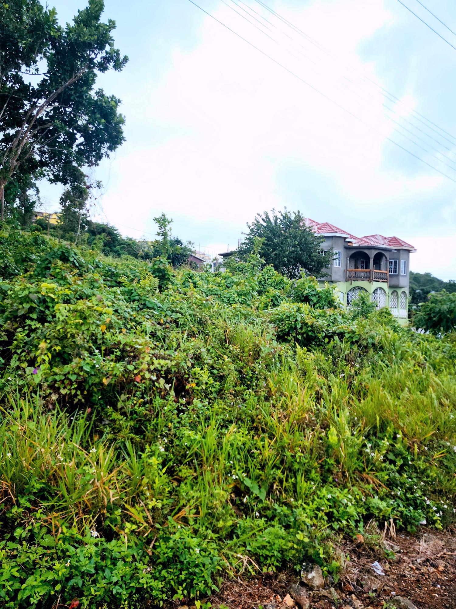 Residential Lot For Sale: BRAHMAN RD, MINARD ESTATE, Browns Town ...