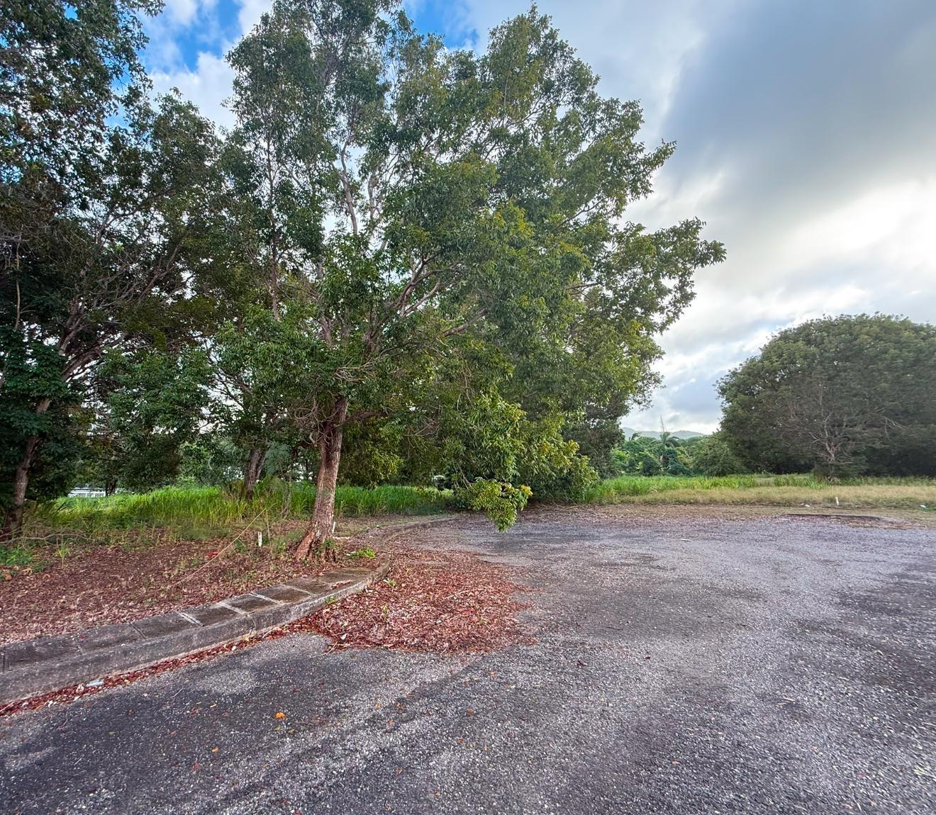 Residential Lot For Sale: MAHOGANY AVENUE, Plantation Village ...