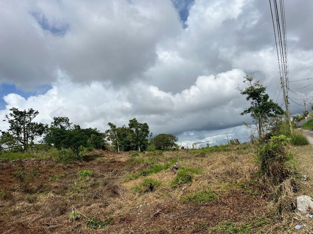 Residential Lot For Sale: BLOOMFIELD STREET, Mandeville | $40,000,000 ...