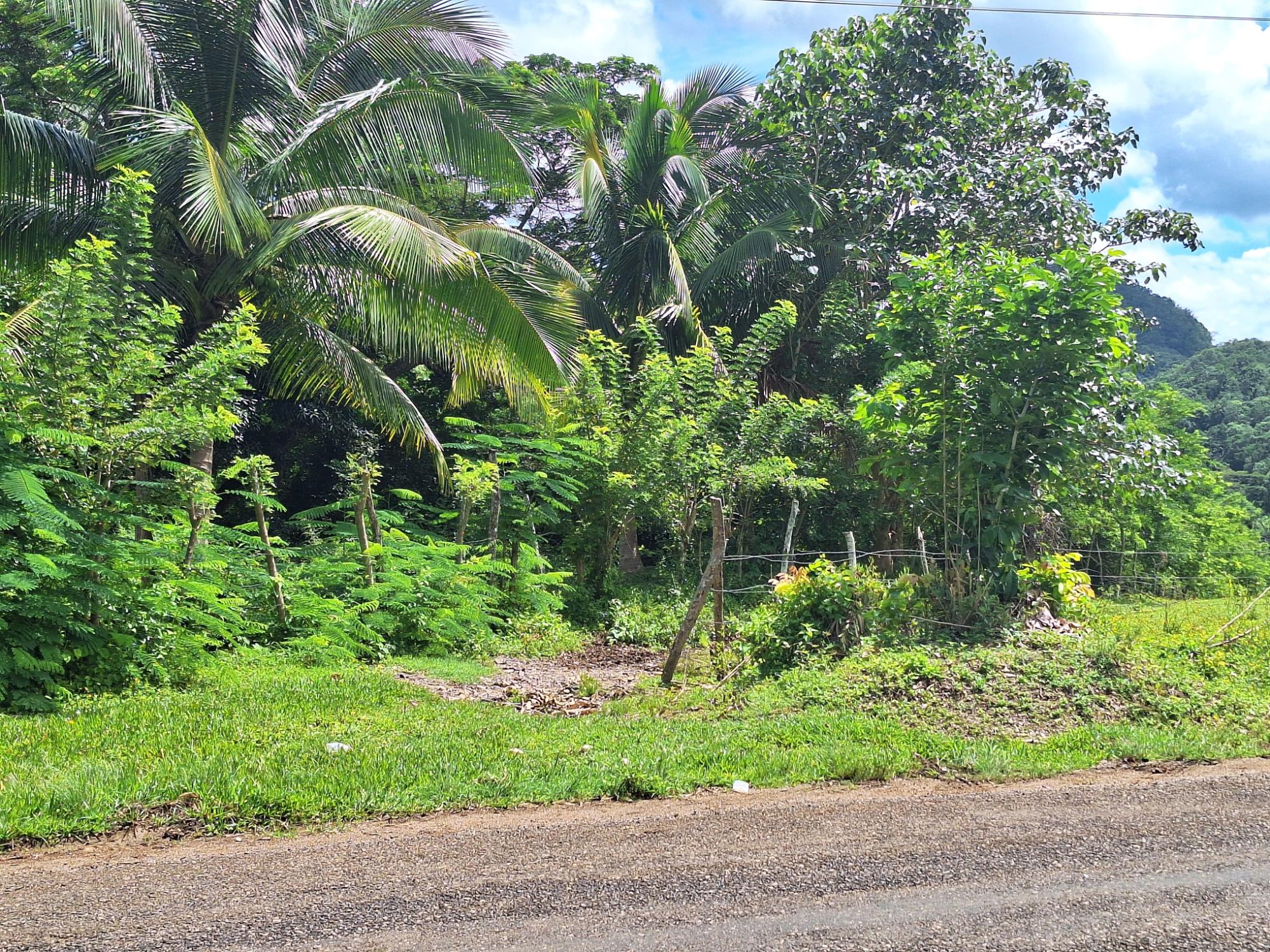 Residential Lot For Sale: MACCA TREE, Macca Tree | $6,000,000 | Keez