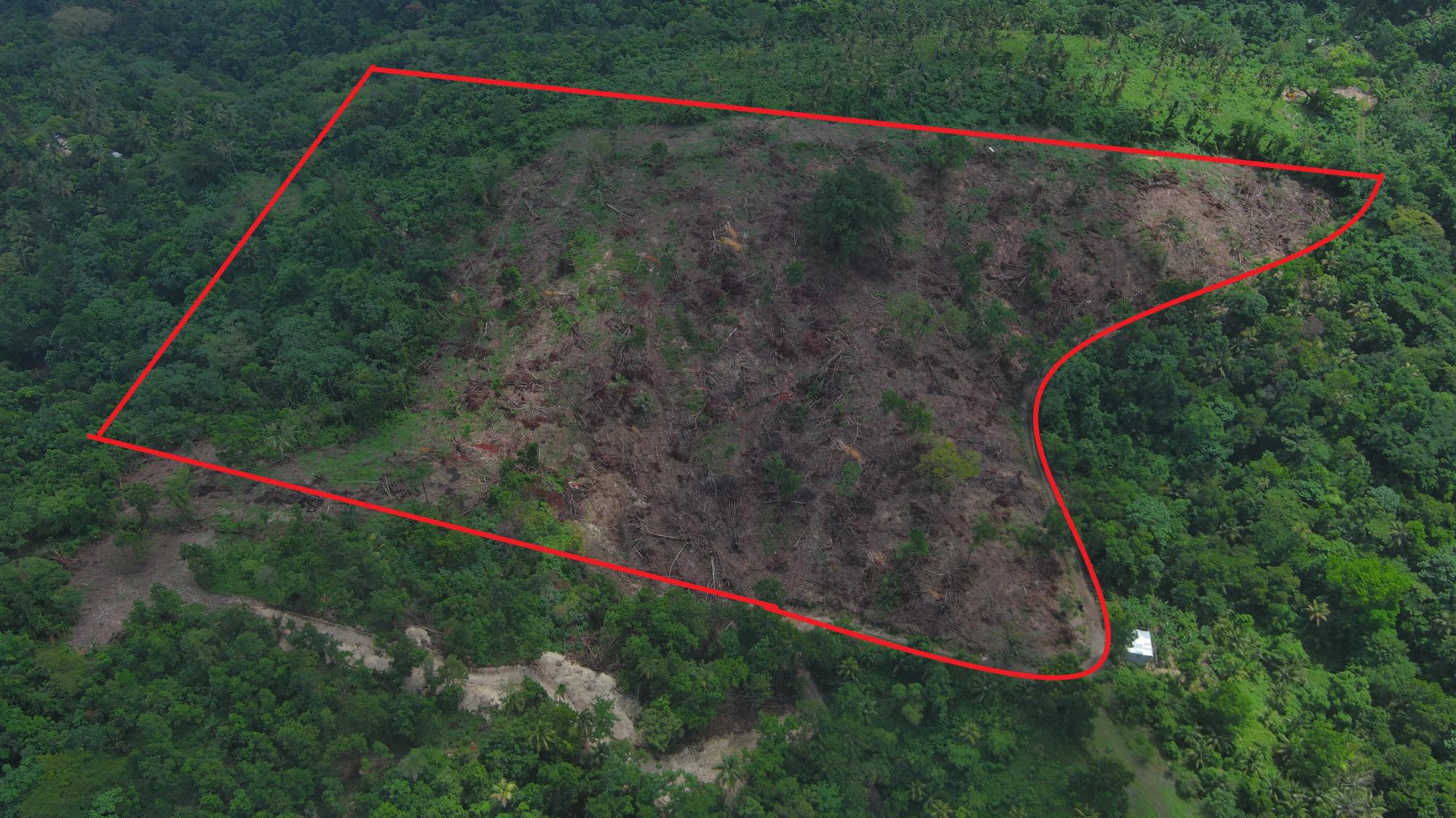 Development Land (Residential) For Sale: KILDARE PORTLAND, Buff Bay ...