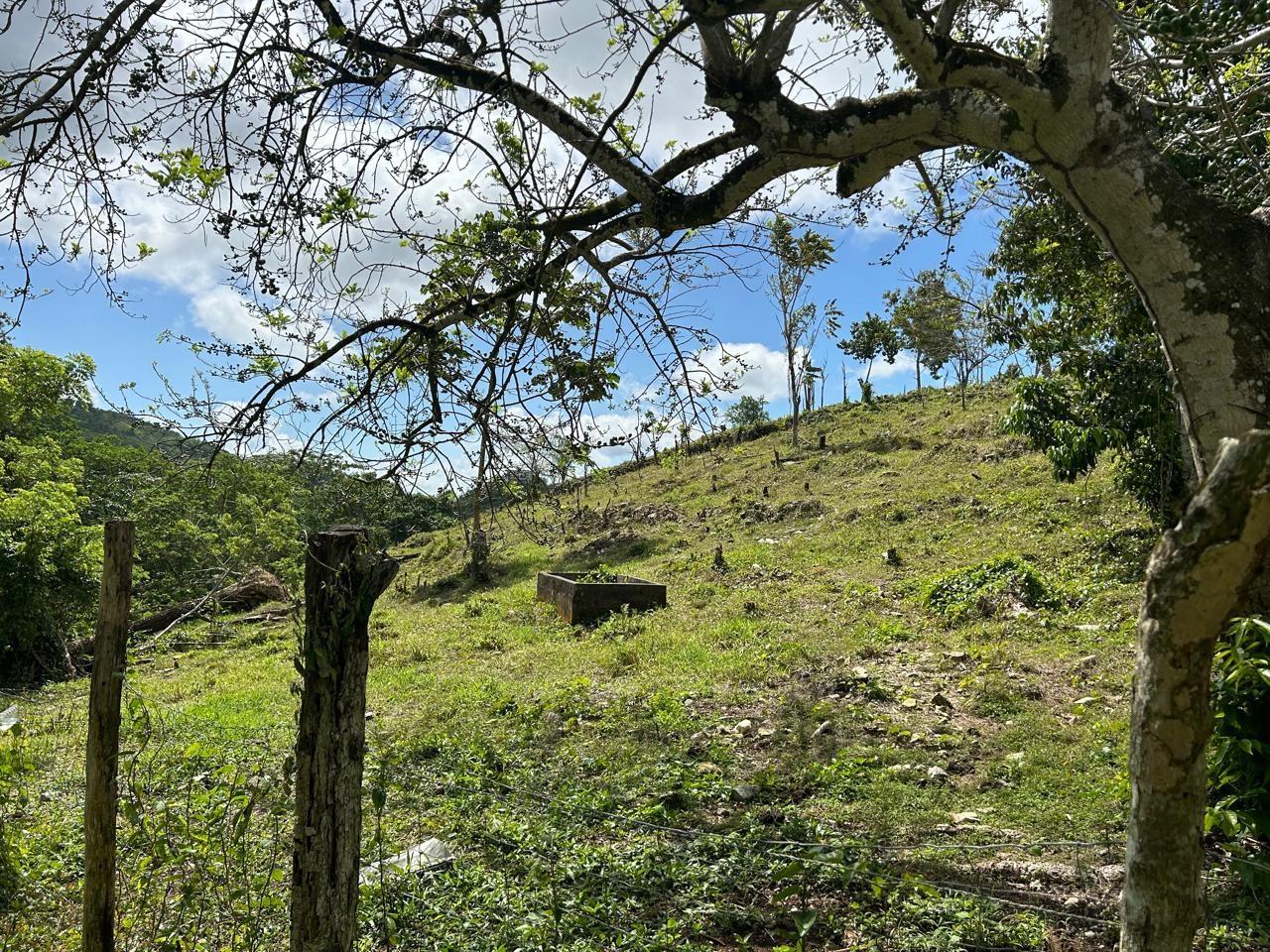 Residential Lot For Sale: CONTENT 2 L/S RAMBLE, Ramble | $16,000,000 | Keez