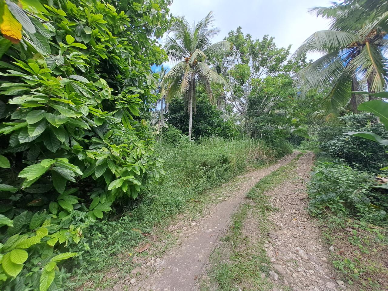 Development Land (Residential) For Sale: MANGO VALLEY, Mango Valley ...