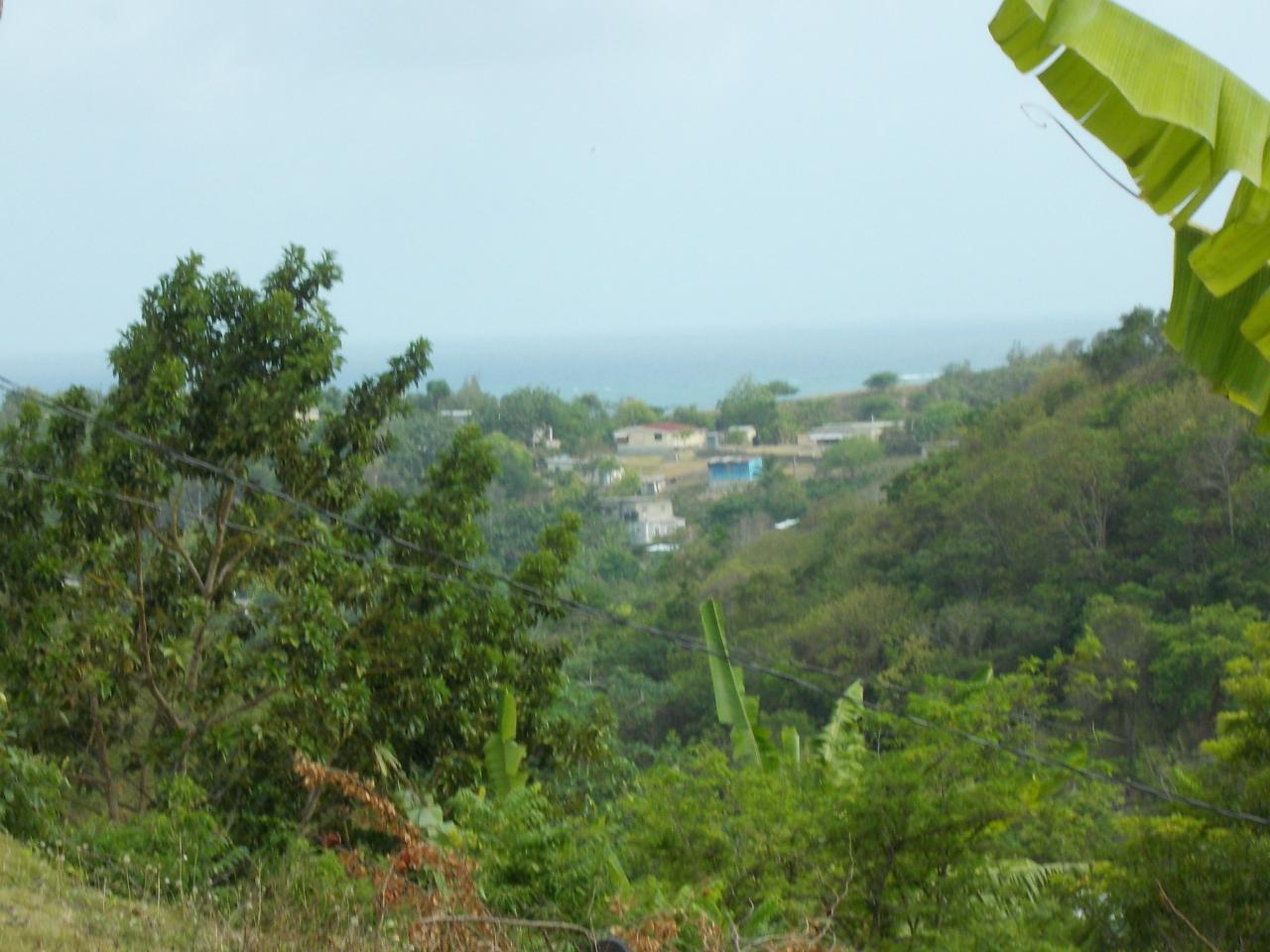 Residential Lot For Sale: COMMODORE FAIR PROSPECT, Commodore ...