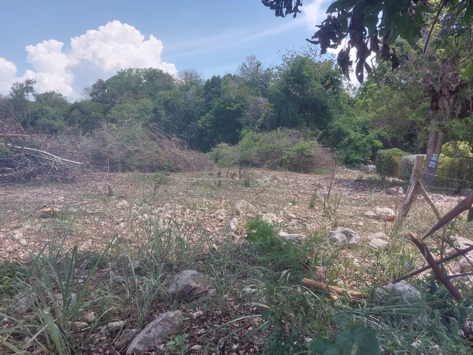 Residential Lot For Sale: FLAMINGO BEACH, Salt Marsh | $137,500 | Keez