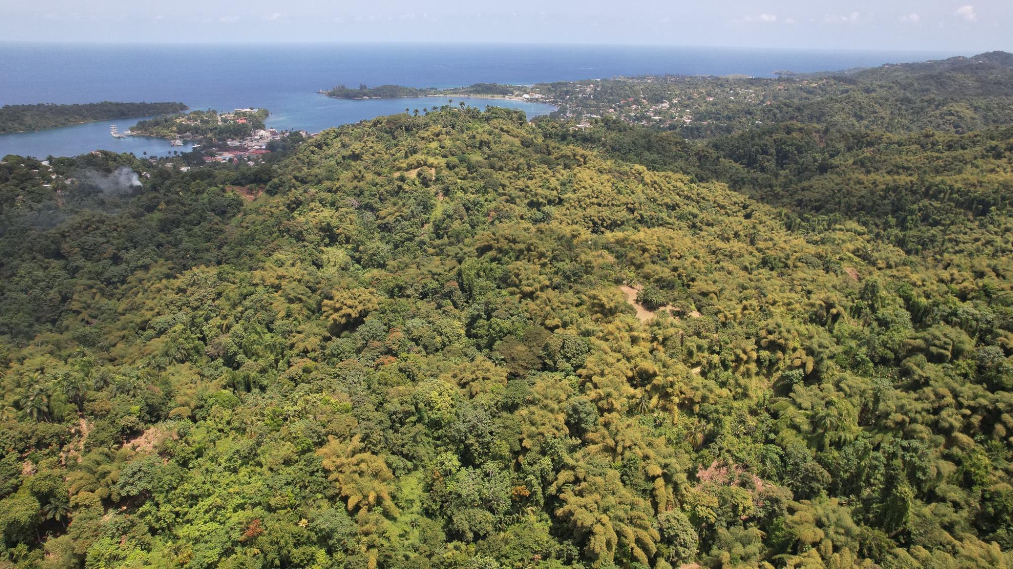 Development Land (Residential) For Sale: BOUNDBROOK, Boundbrook ...