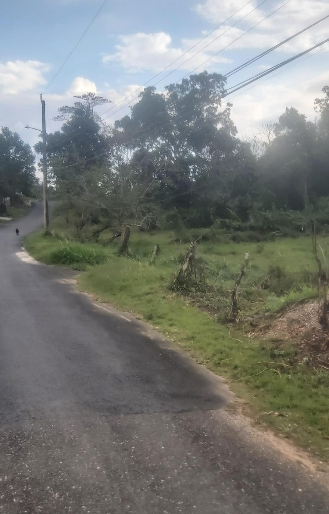 Residential Lot For Sale: ORANGE AVENUE INGLESIDE M, Mandeville ...