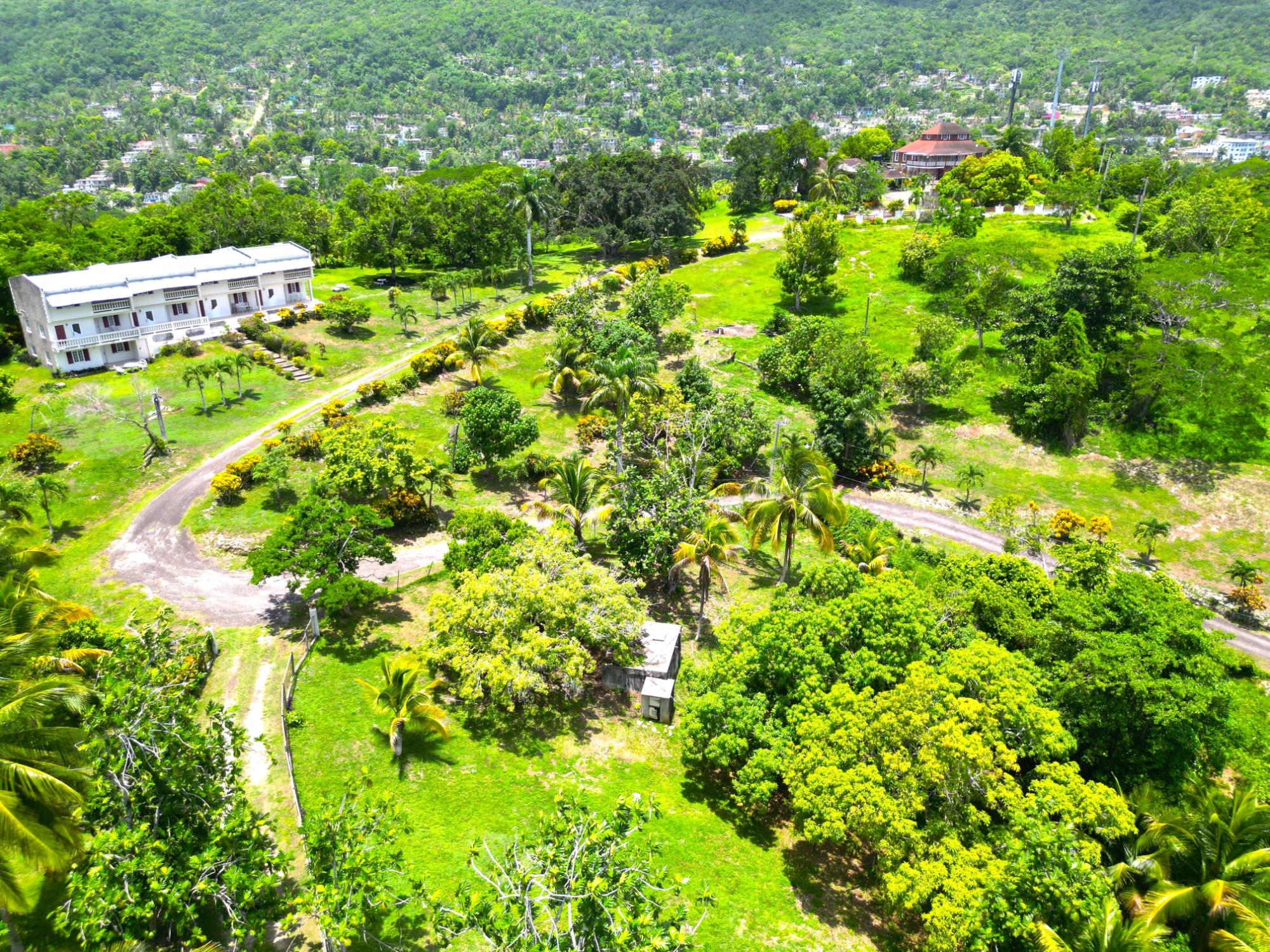 Offices / Commercial Bldg For Sale: FERN CLOSE, Montego Bay ...