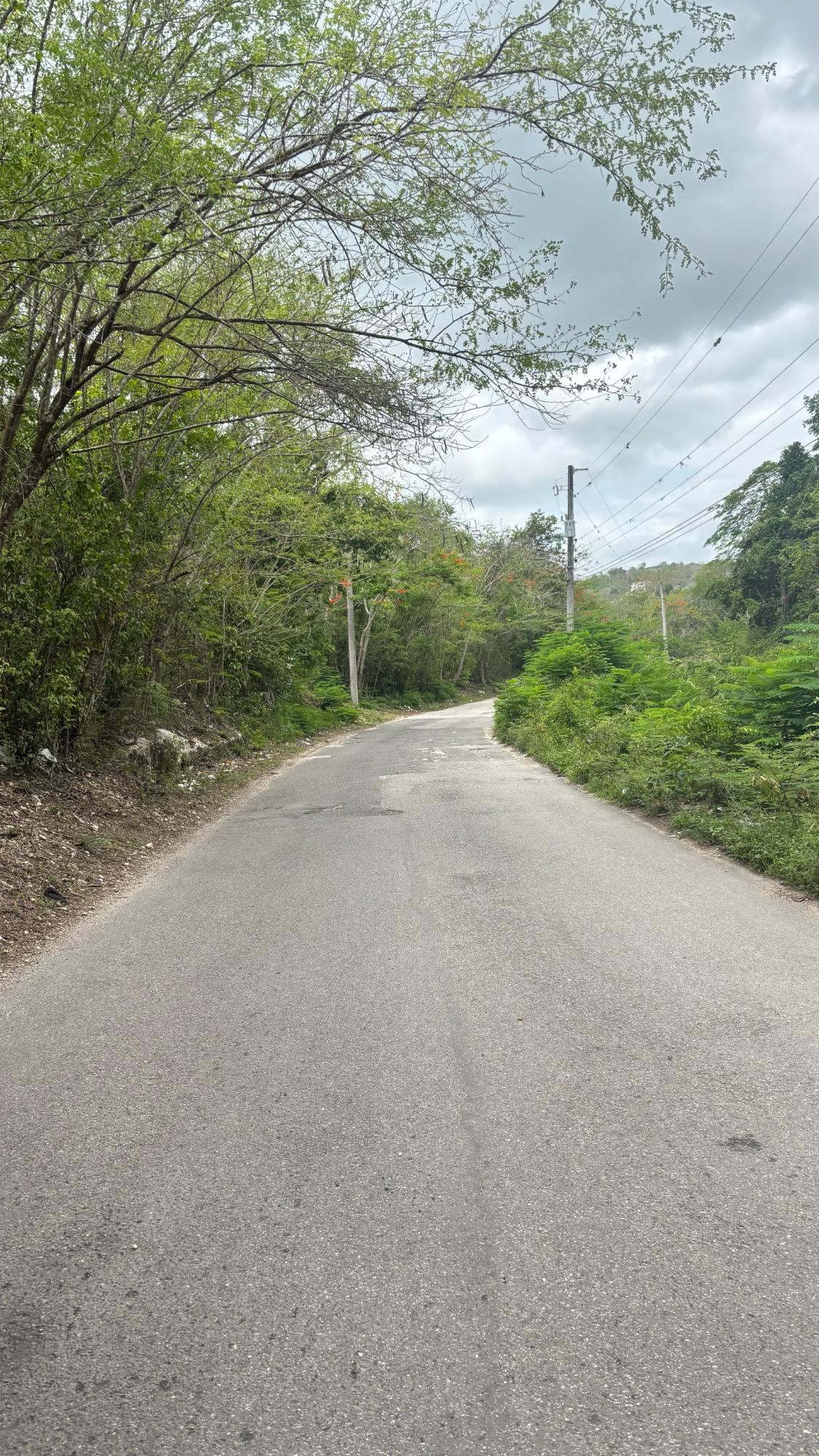Development Land (Residential) For Sale: CLERMONT, Daniel Town ...