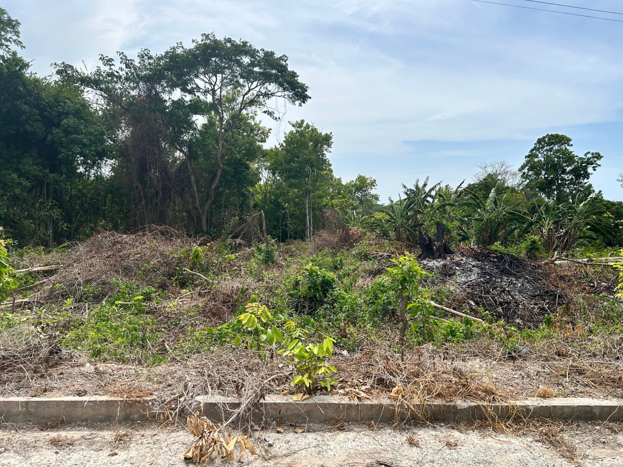 Residential Lot For Sale: LIME GROVE, CARDIFF HALL, St. Ann@~apos;s Bay ...