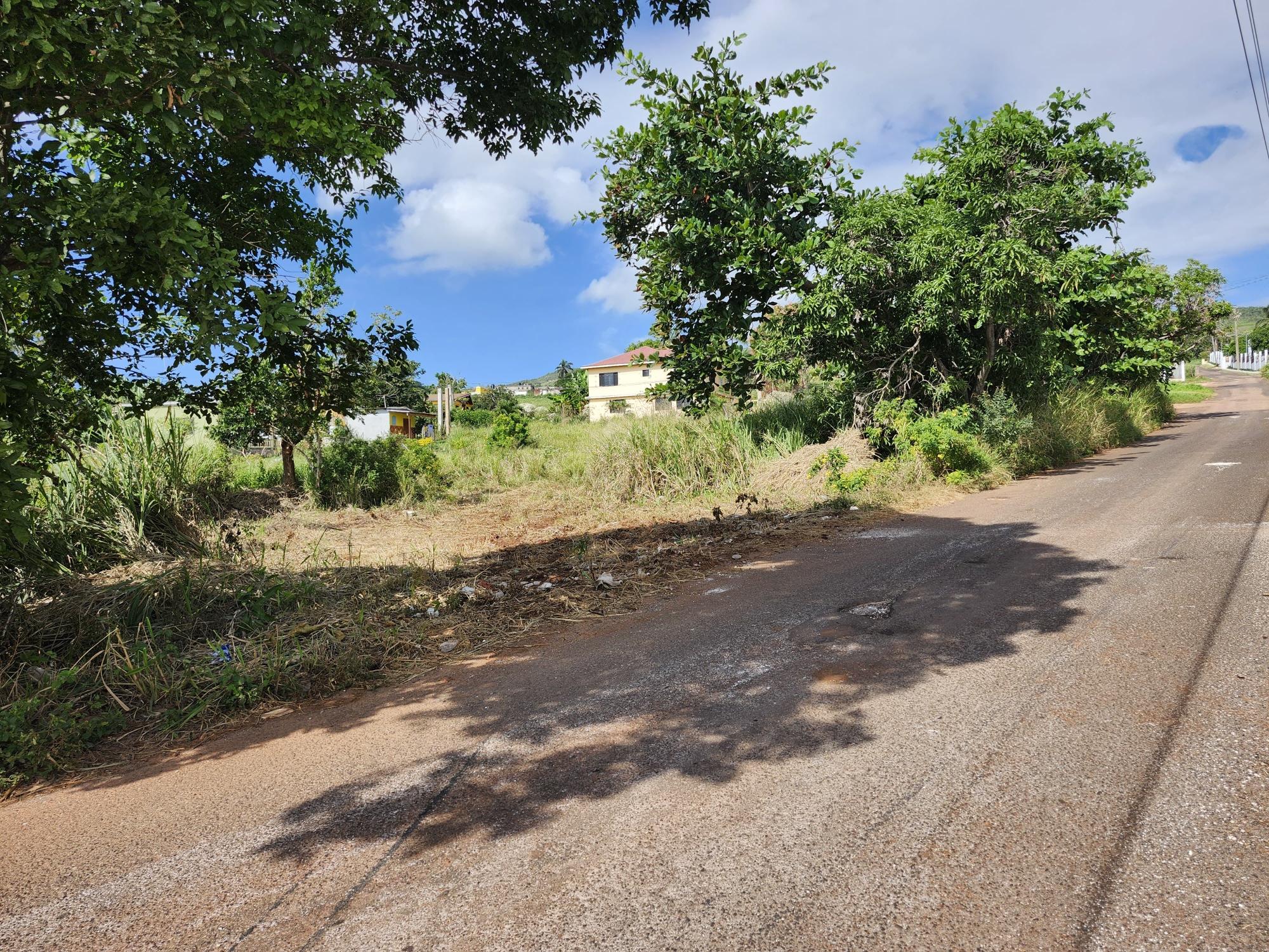 Residential Lot For Sale: LOVERS LEAP, Junction | $7,500,000 | Keez