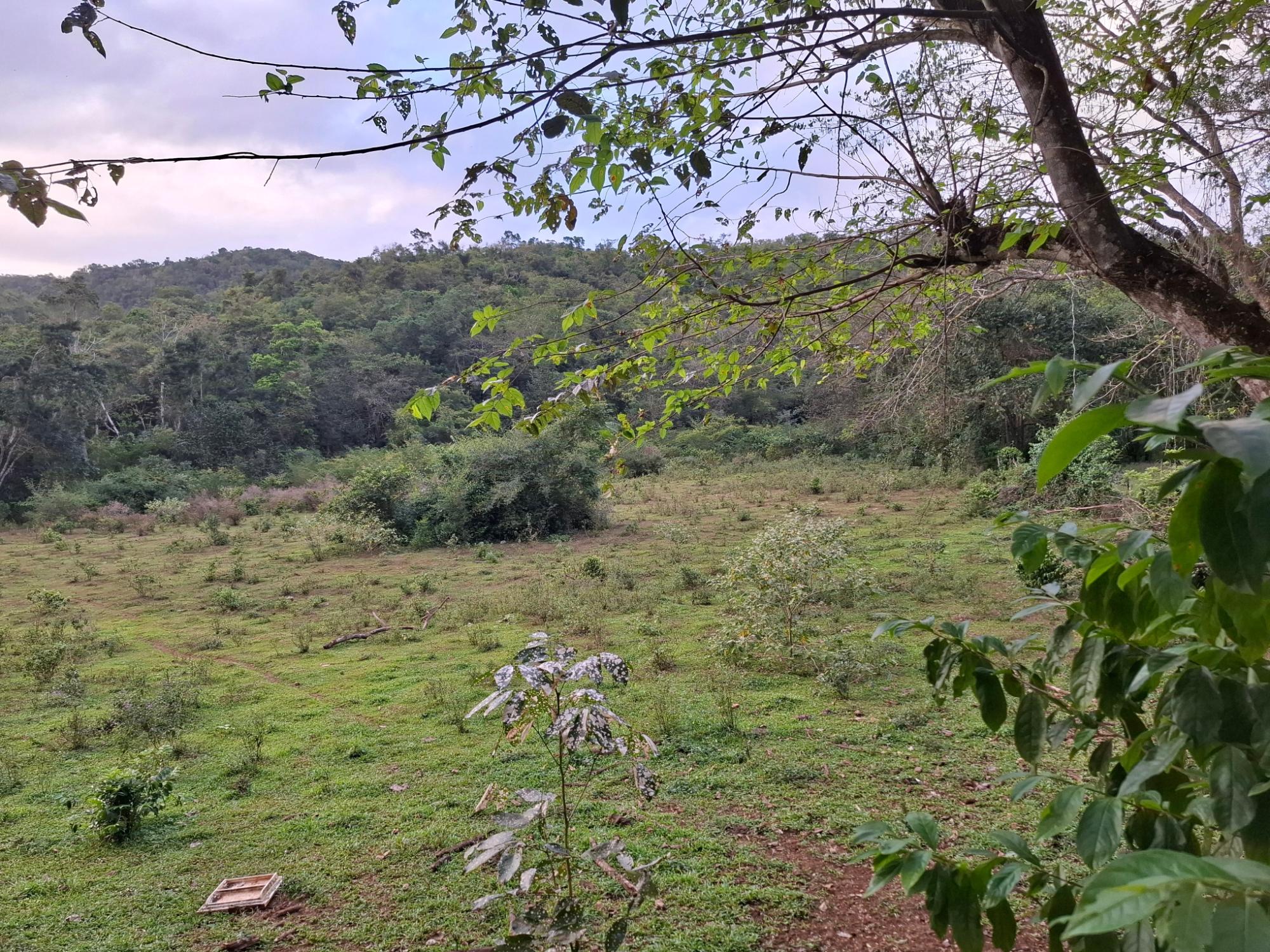 Development Land (Residential) For Sale: HOME CASTLE, Browns Town ...