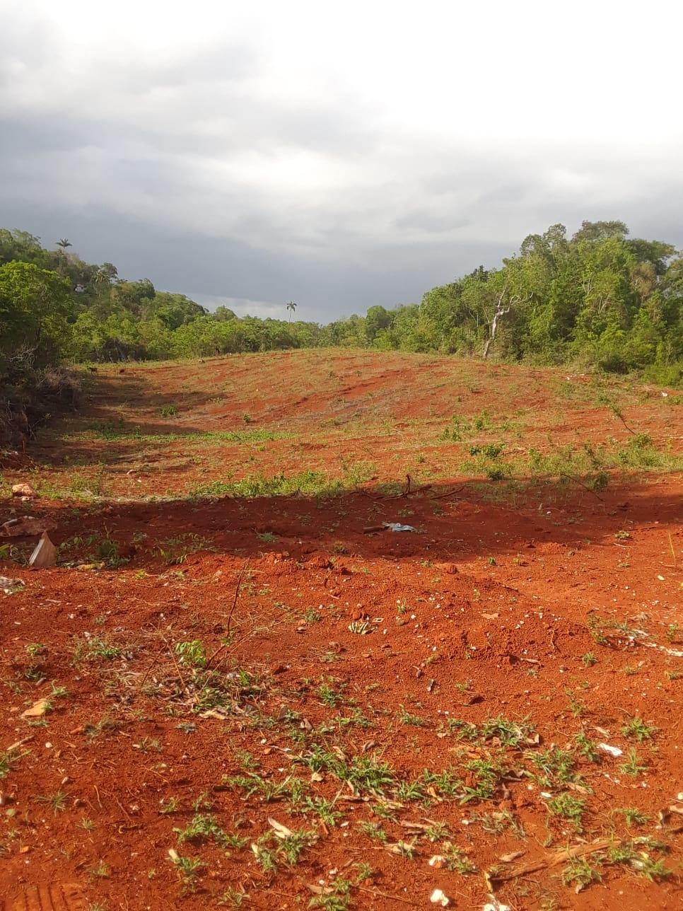 Residential Lot For Sale: SPRING VALE, Spring Vale | $8,800,000 | Keez