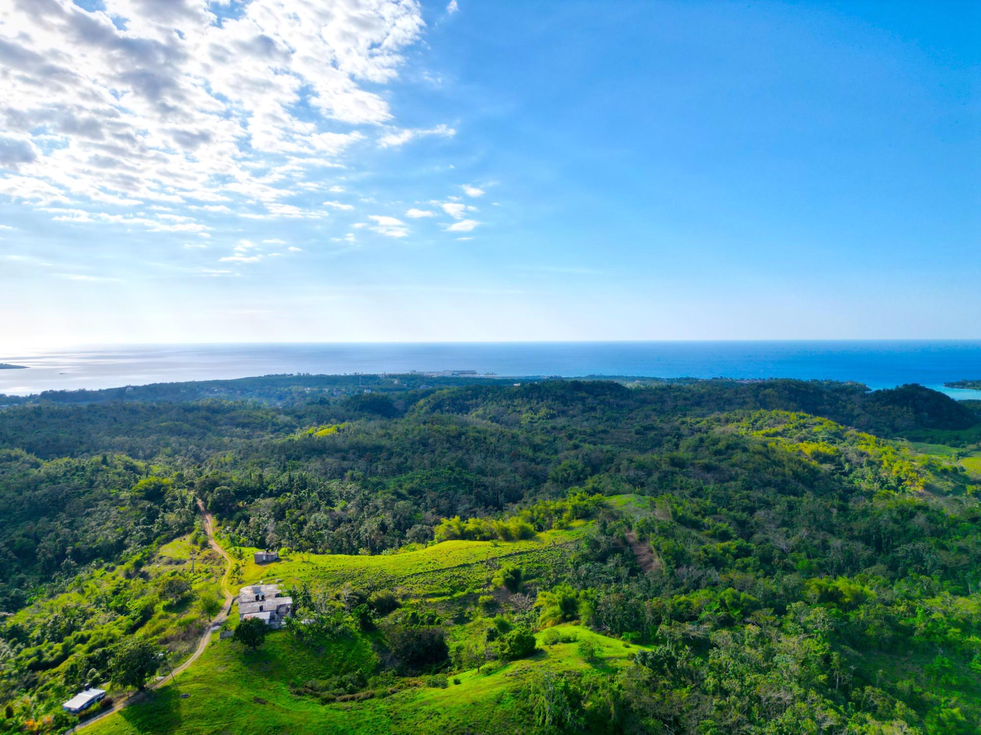 Development Land (Residential) For Sale: ROTHSEY COVE HARDING HALL ...