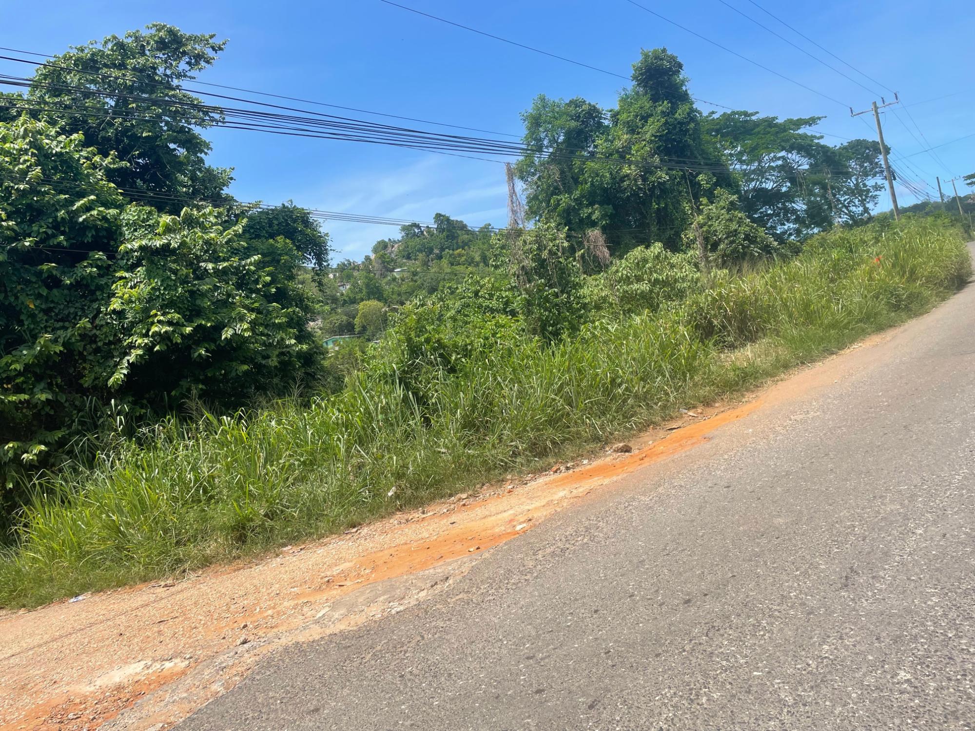 Residential Lot For Sale: MINARDS ESTATE, Browns Town | $9,100,000 | Keez