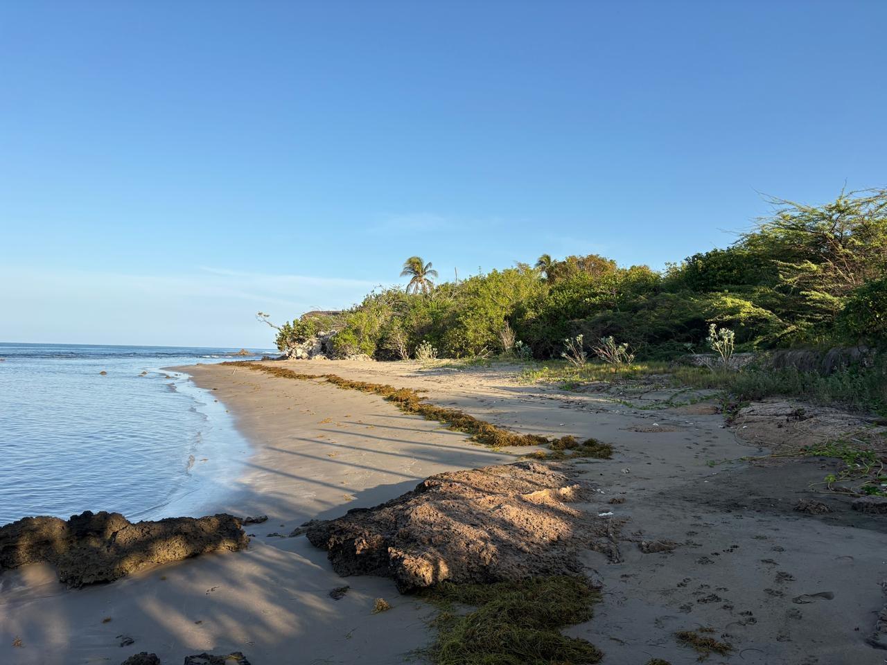 Residential Lot For Sale: BILLY BAY, TREASURE BEACH, Treasure Beach ...