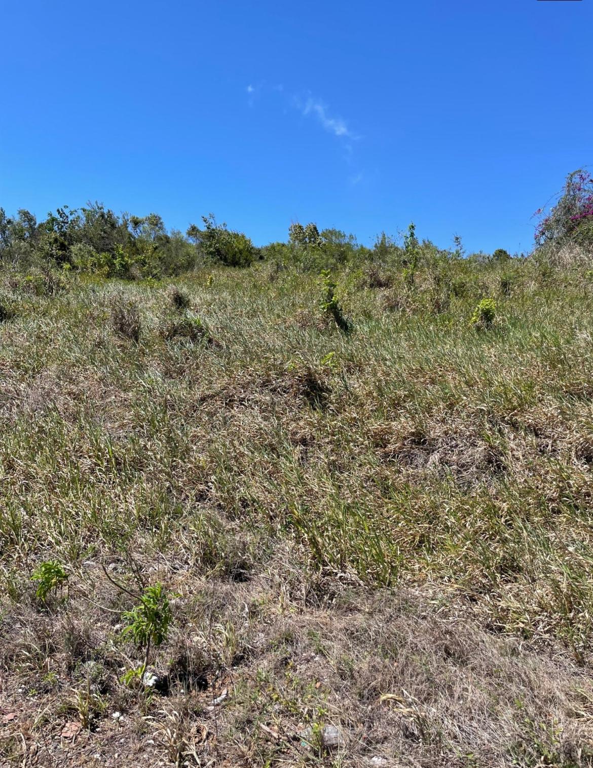 Residential Lot For Sale: IVAN BROWN BLVD, MALVERN, Malvern ...