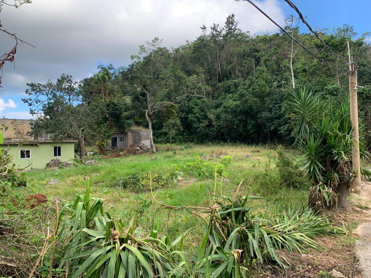 Residential Lot For Sale: LOT 14 RED BANK, Hatfield | $12,500,000 | Keez