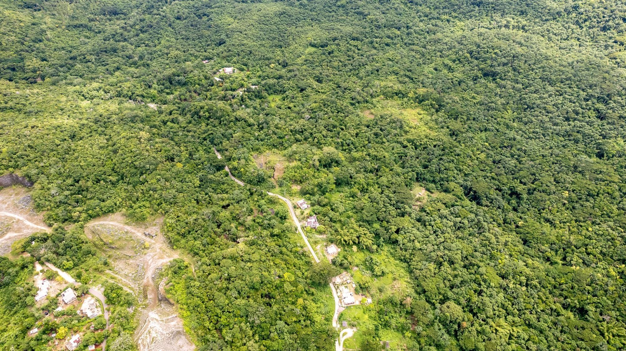 Development Land (Residential) For Sale: UNION PEN, Mango Valley ...